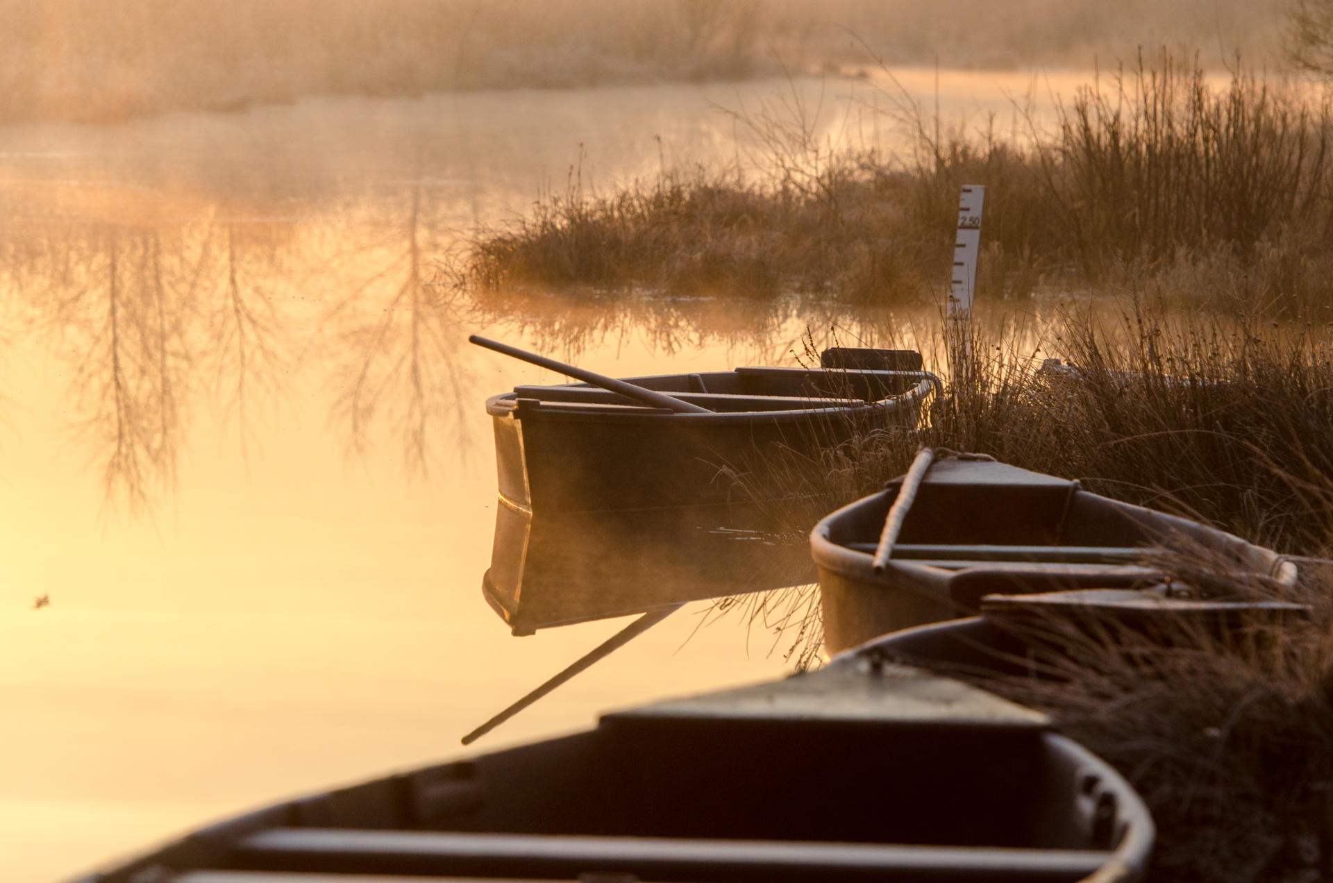 Brière Regional Nature Park | Tourisme Bretagne