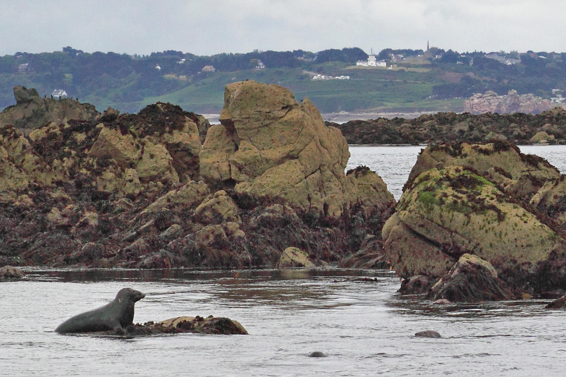 Kurs auf die Sieben Inseln | Tourisme Bretagne
