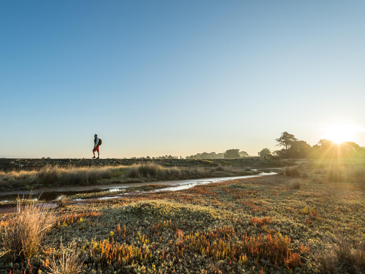 La Bretagne, une nature préservée | Tourisme Bretagne