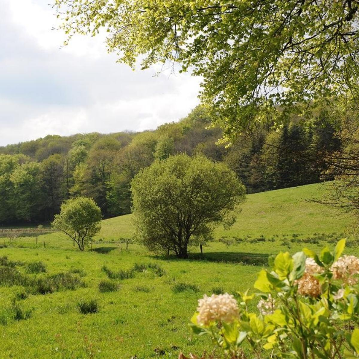 Saint-Rivoal | Tourisme Bretagne