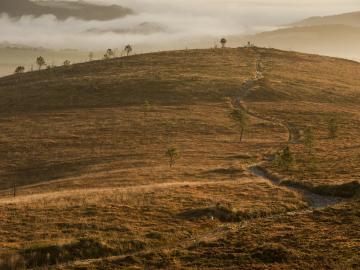 Le Menez Hom | Tourisme Bretagne