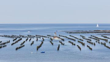 Pénestin | Brittany tourism
