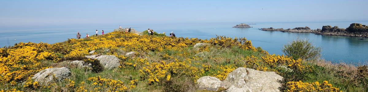 La Pointe du Grouin | Tourisme Bretagne