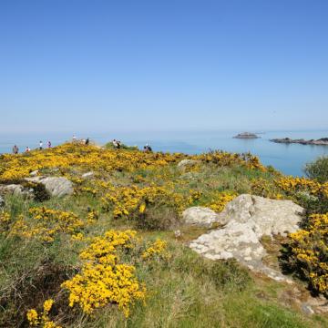 La Pointe du Grouin | Tourisme Bretagne