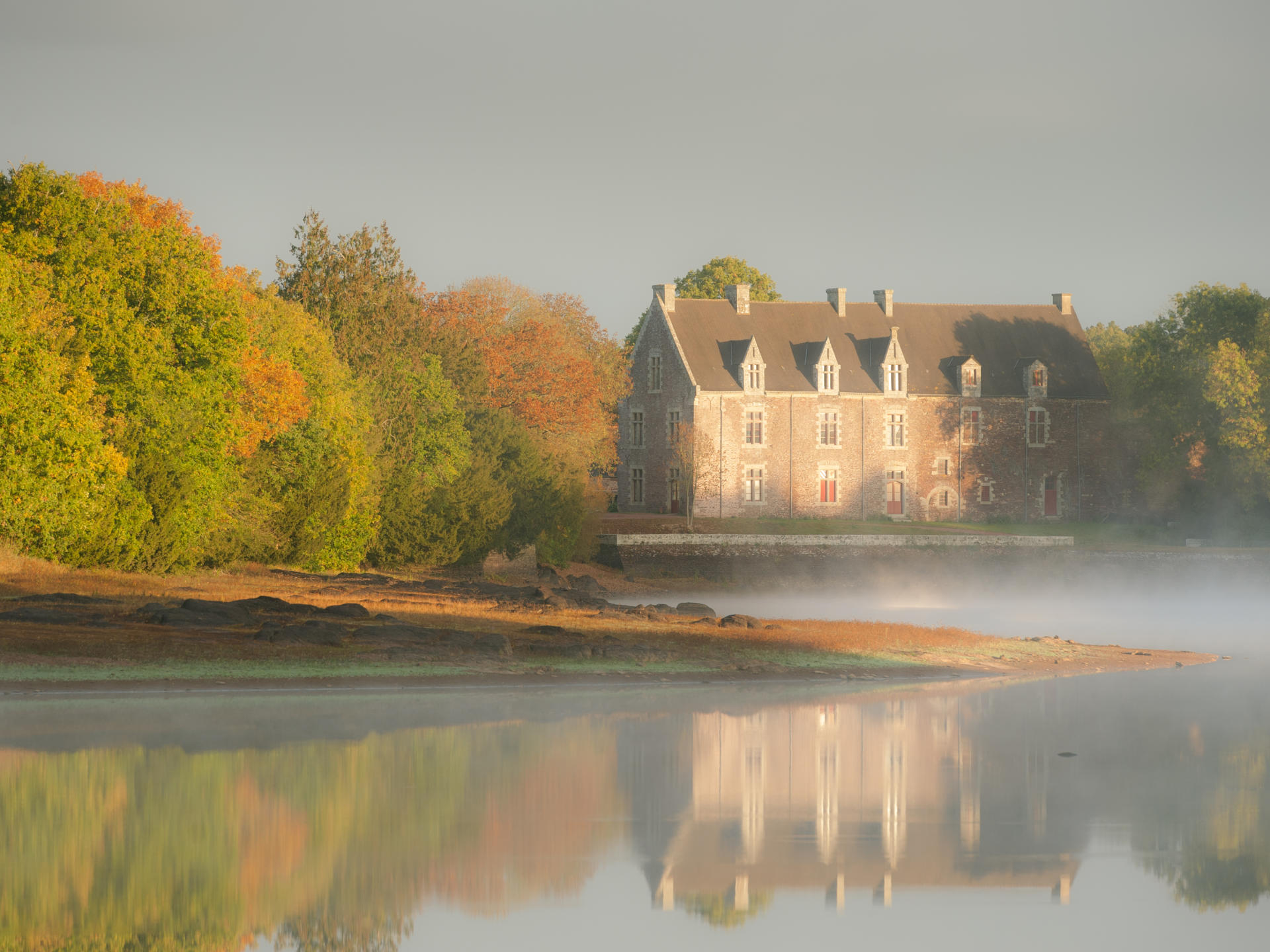 Brocéliande Forest | Brittany tourism