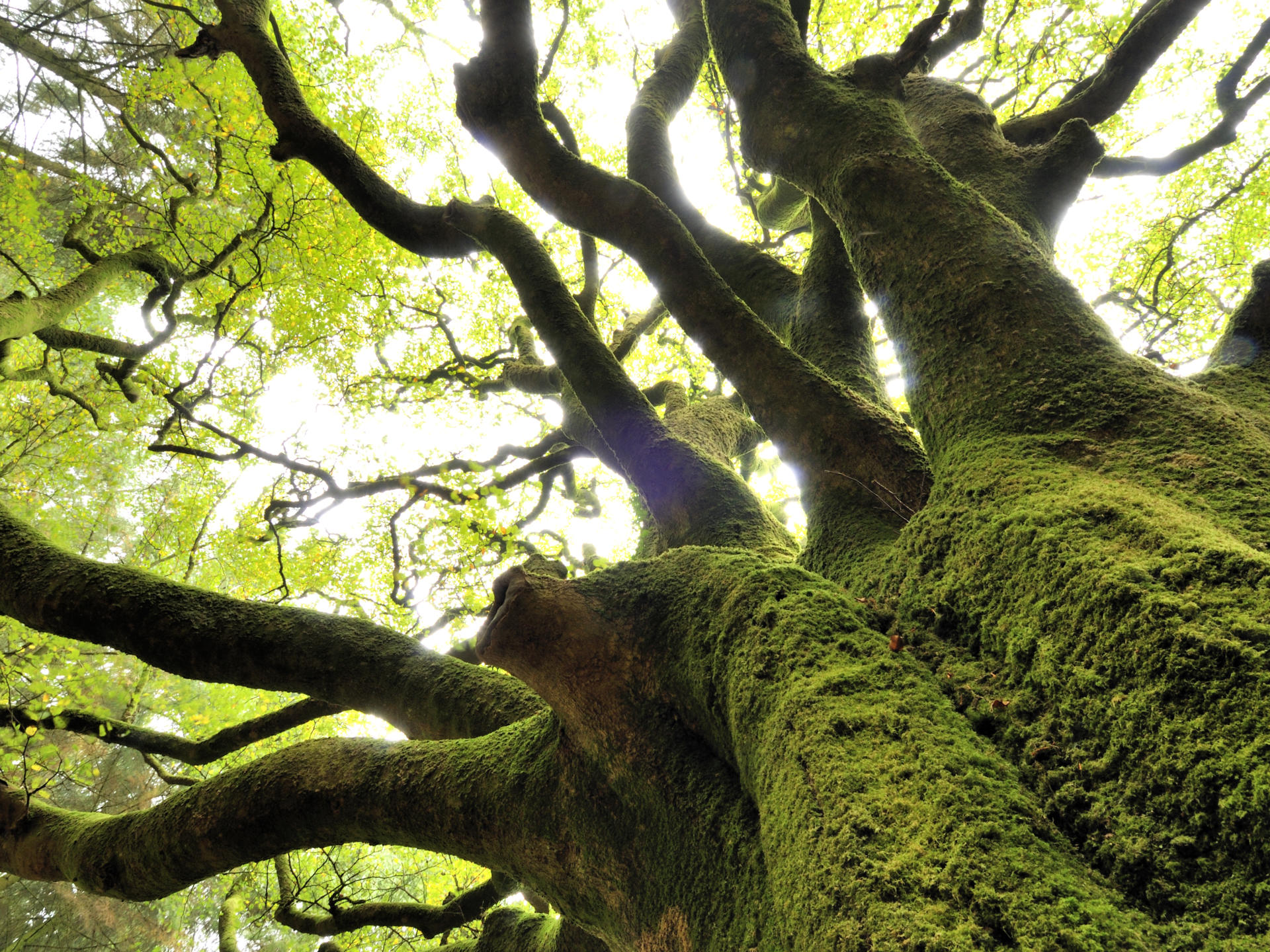 Balades en pleine nature | Tourisme Bretagne
