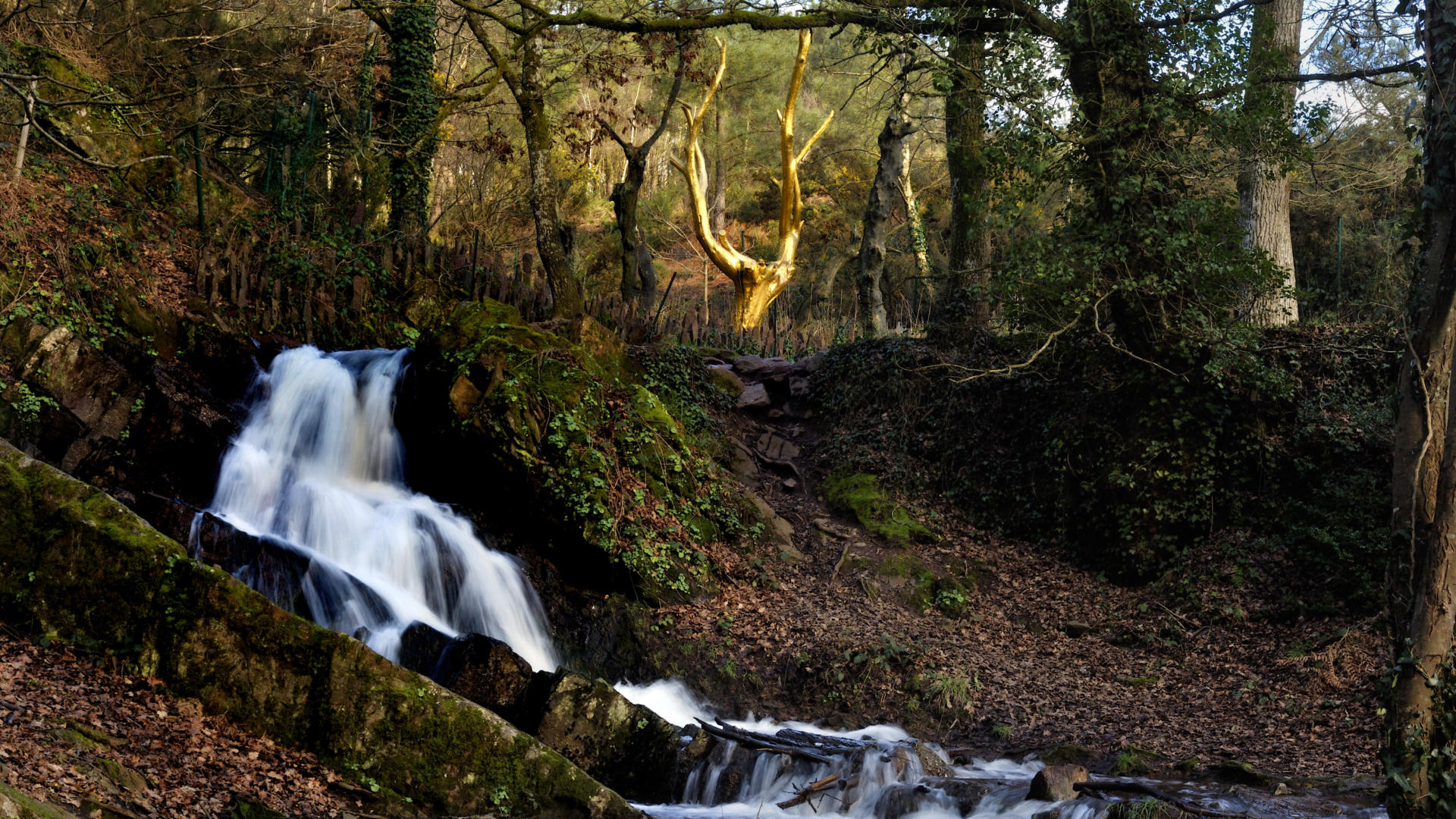 La forêt de Brocéliande | Tourisme Bretagne