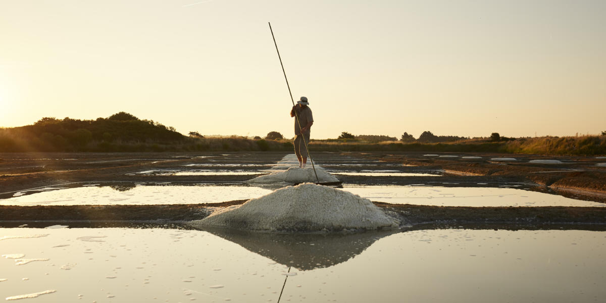 The salt road, from Redon to Le Croisic | Brittany tourism