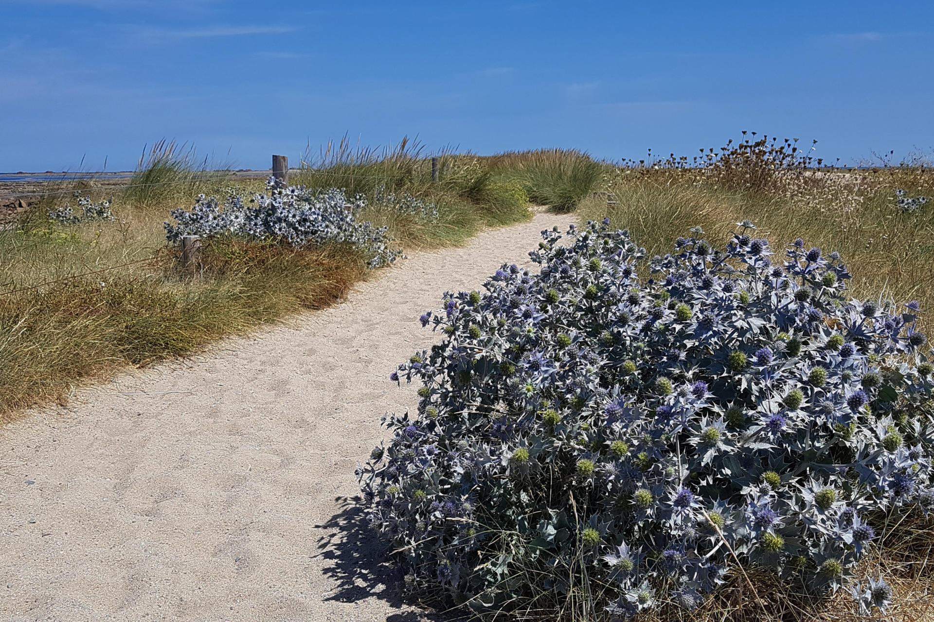 Le Sillon de Talbert | Tourisme Bretagne