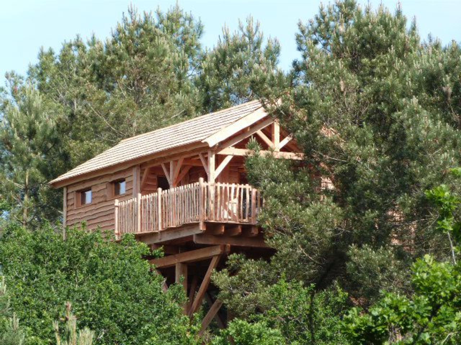 5 cabanes dans les arbres en Bretagne