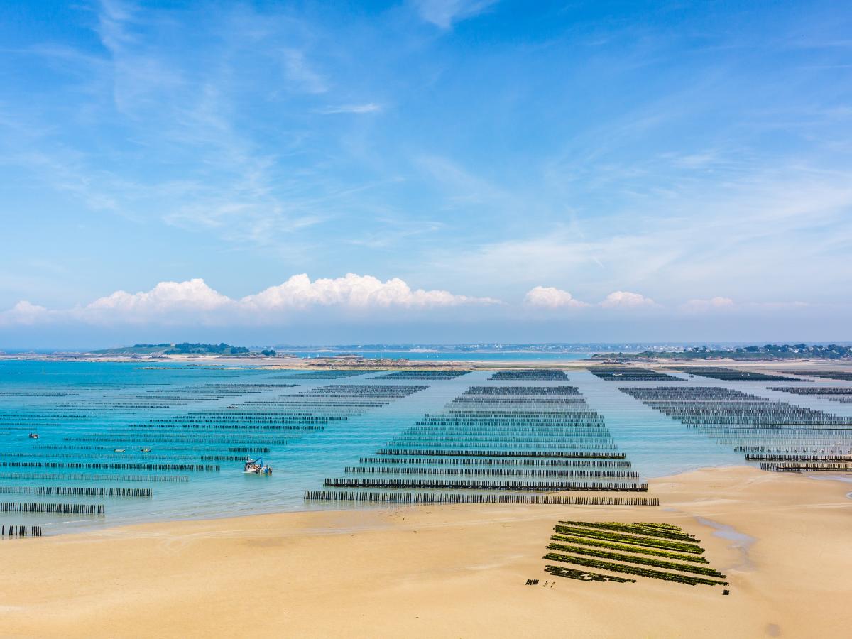 Springtij in Bretagne Tourisme Bretagne