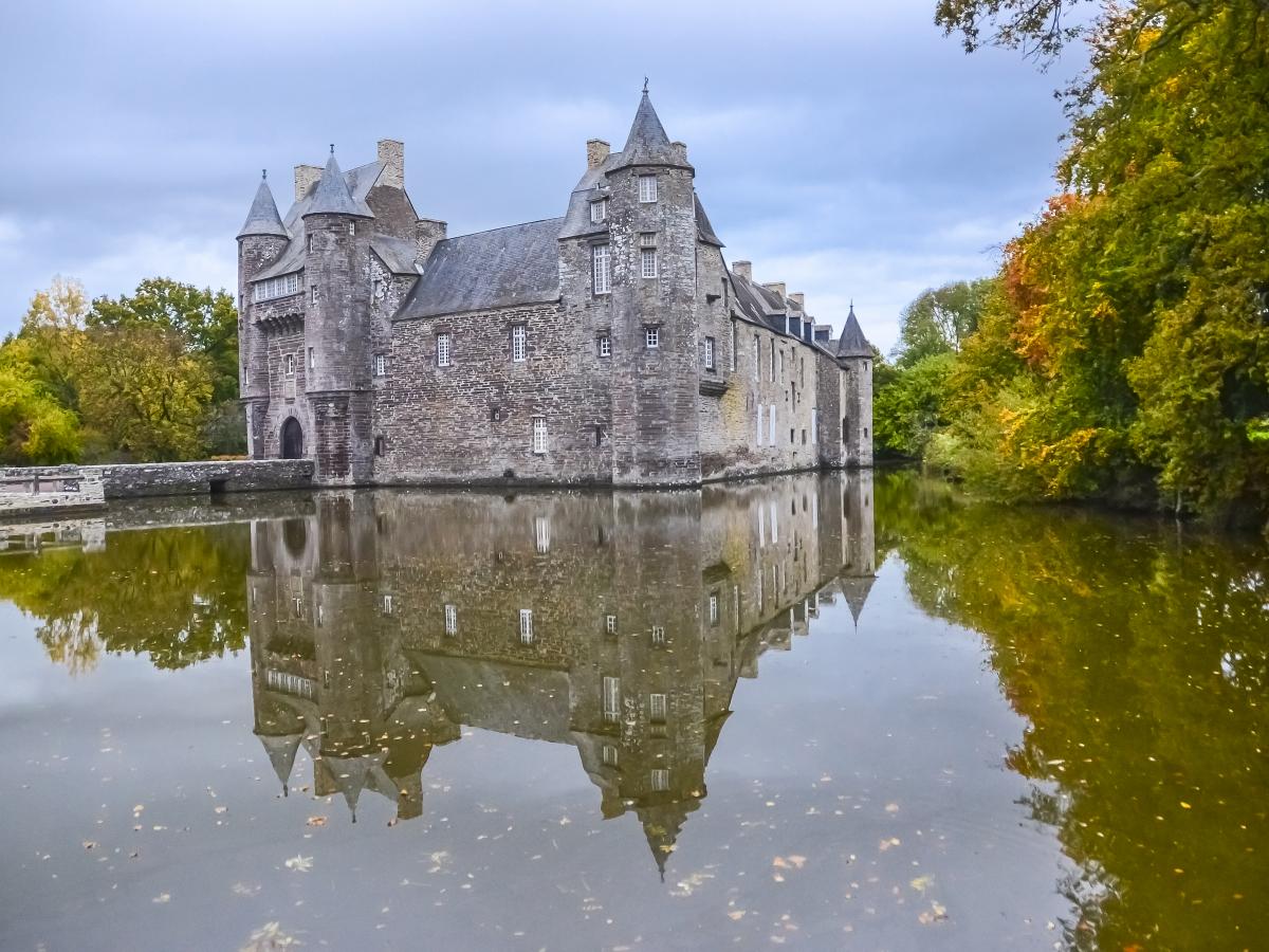 Brocéliande Forest | Brittany tourism
