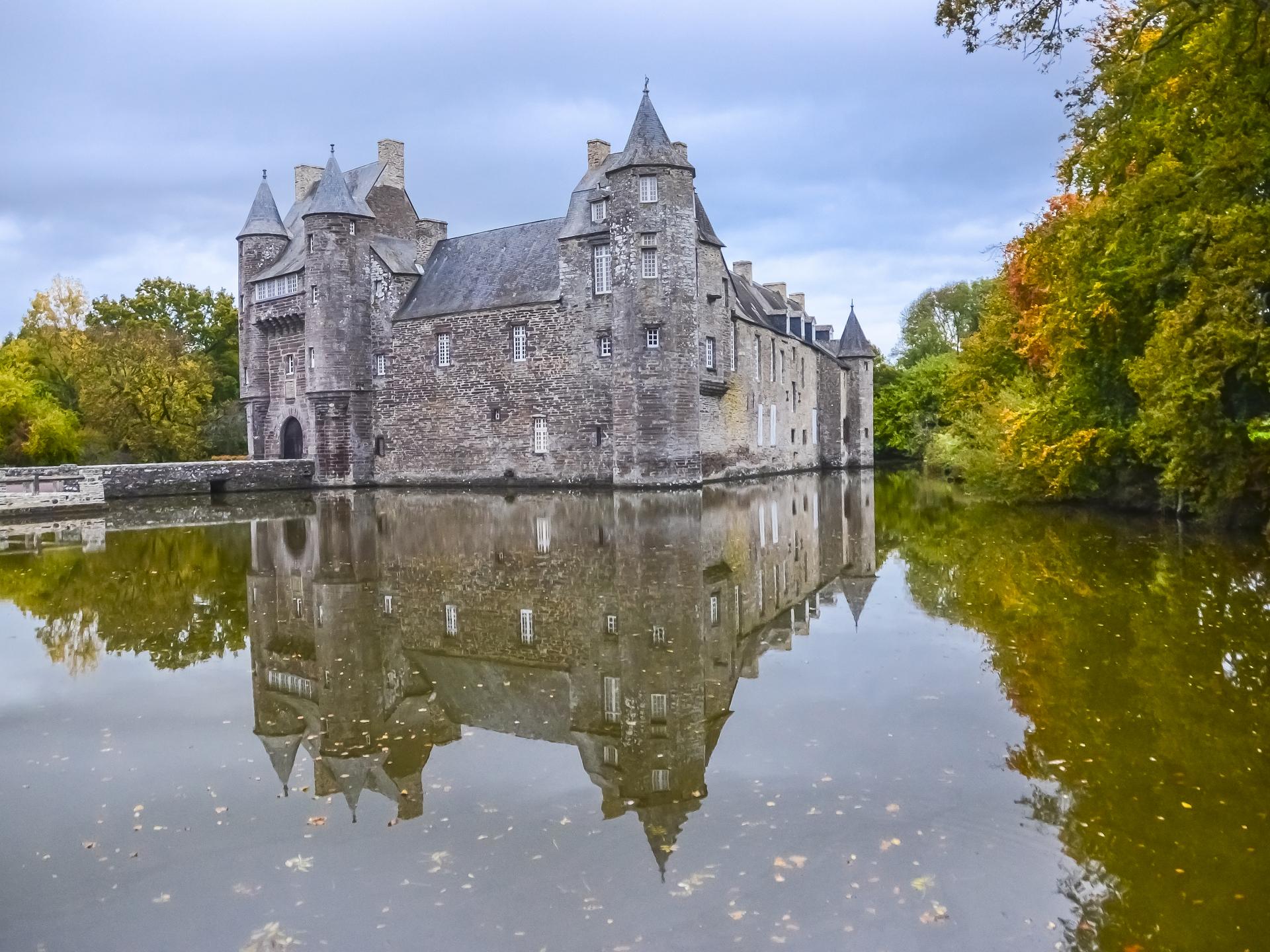 Brocéliande Forest | Brittany tourism