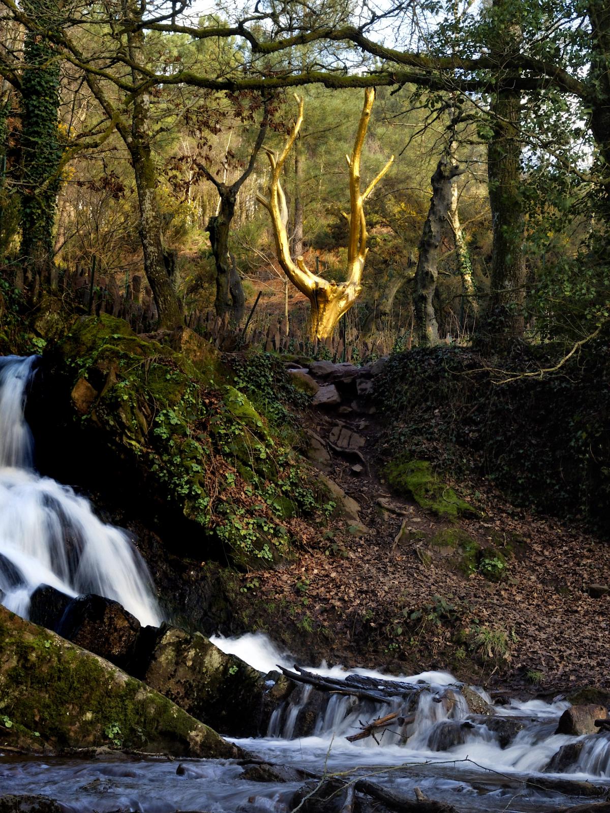 La forêt de Brocéliande | Tourisme Bretagne