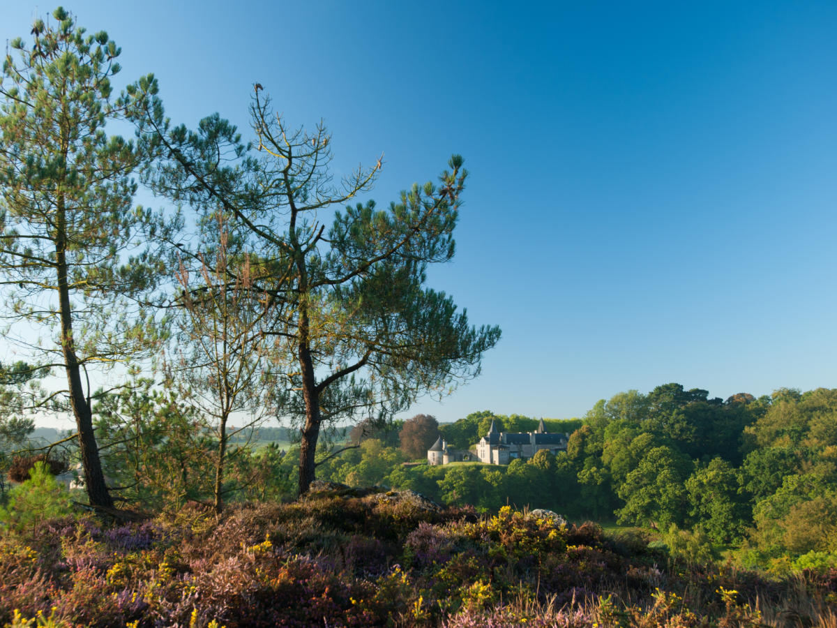 Rochefort-en-Terre | Brittany tourism