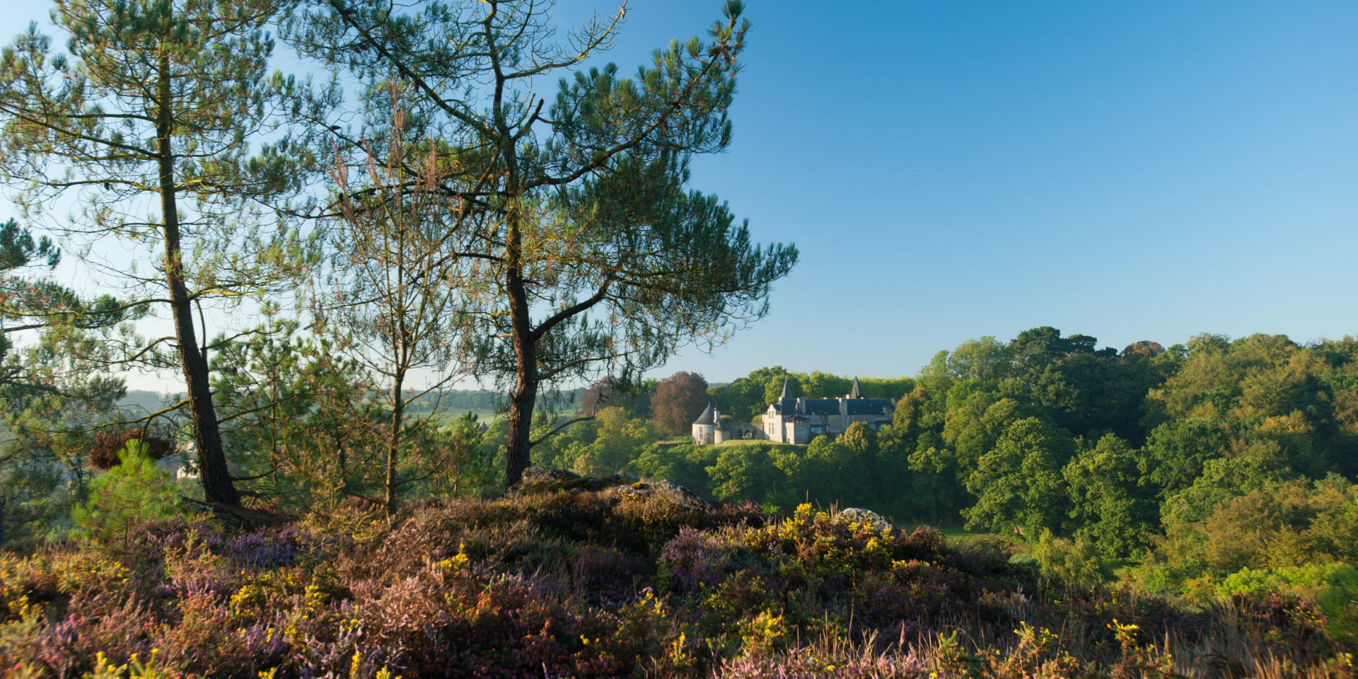Les landes de Lanvaux | Tourisme Bretagne