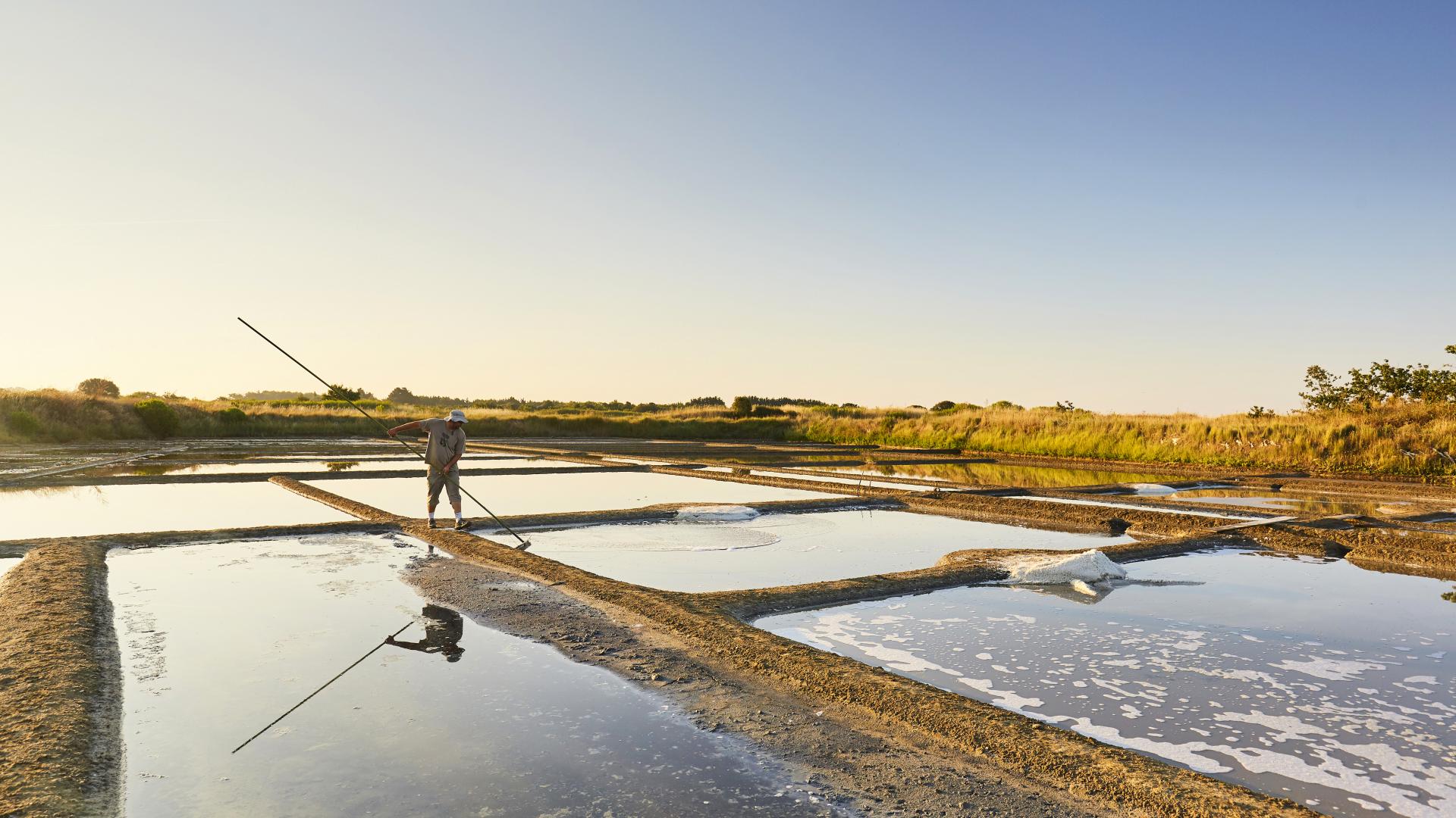 The salt road, from Redon to Le Croisic | Brittany tourism