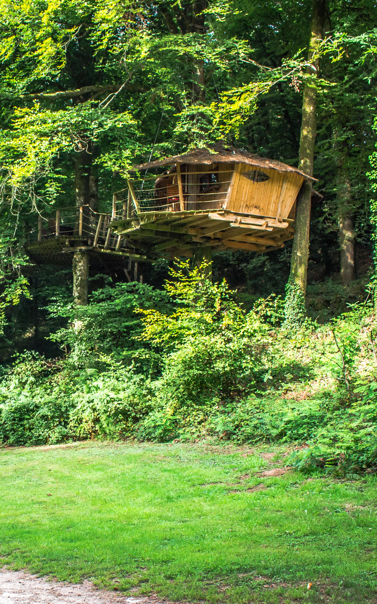 10 great ideas for forest walks | Brittany tourism