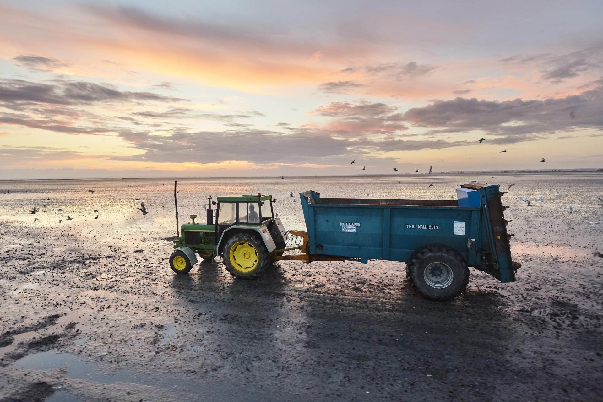 Les moules de bouchot | Tourisme Bretagne