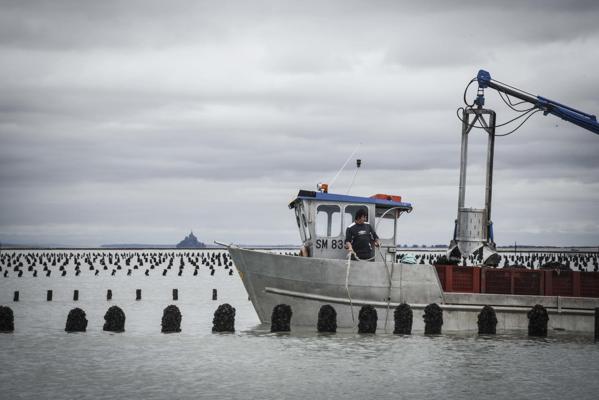 Les moules de bouchot | Tourisme Bretagne