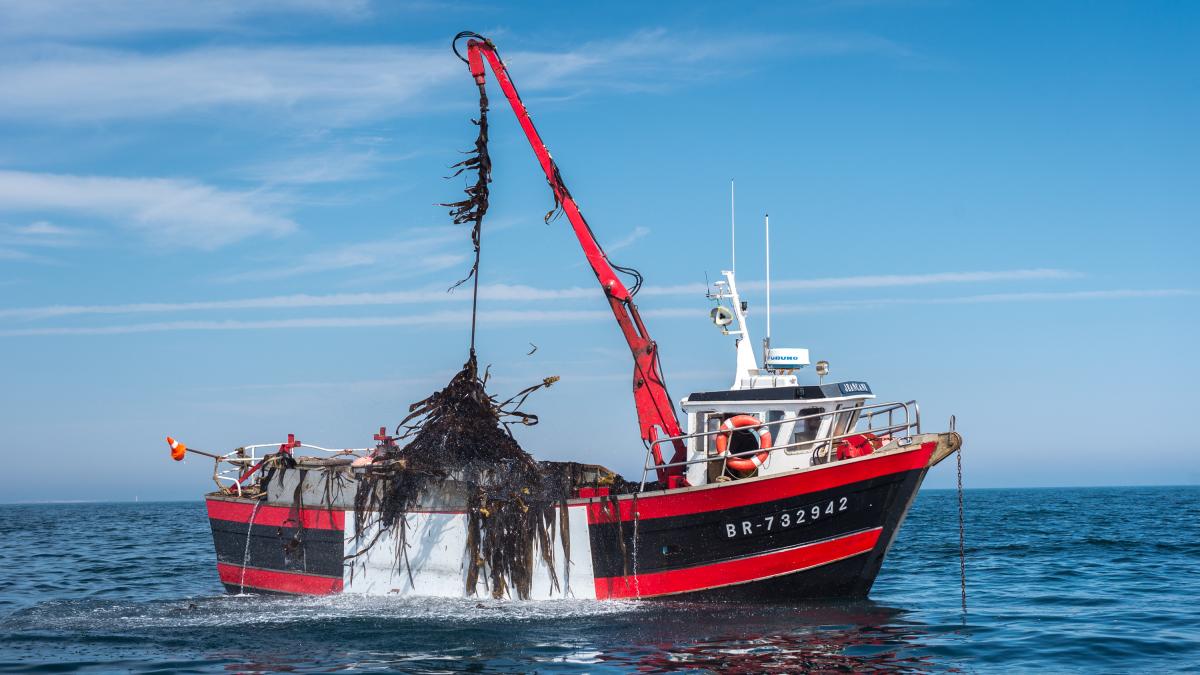 Le meilleur de la mer au pays des Abers | Tourisme Bretagne