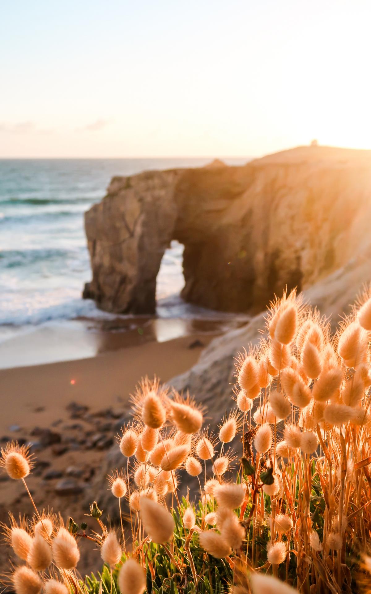 De Vannes à la presqu’île de Quiberon via Belle-Île-en-Mer | Tourisme ...