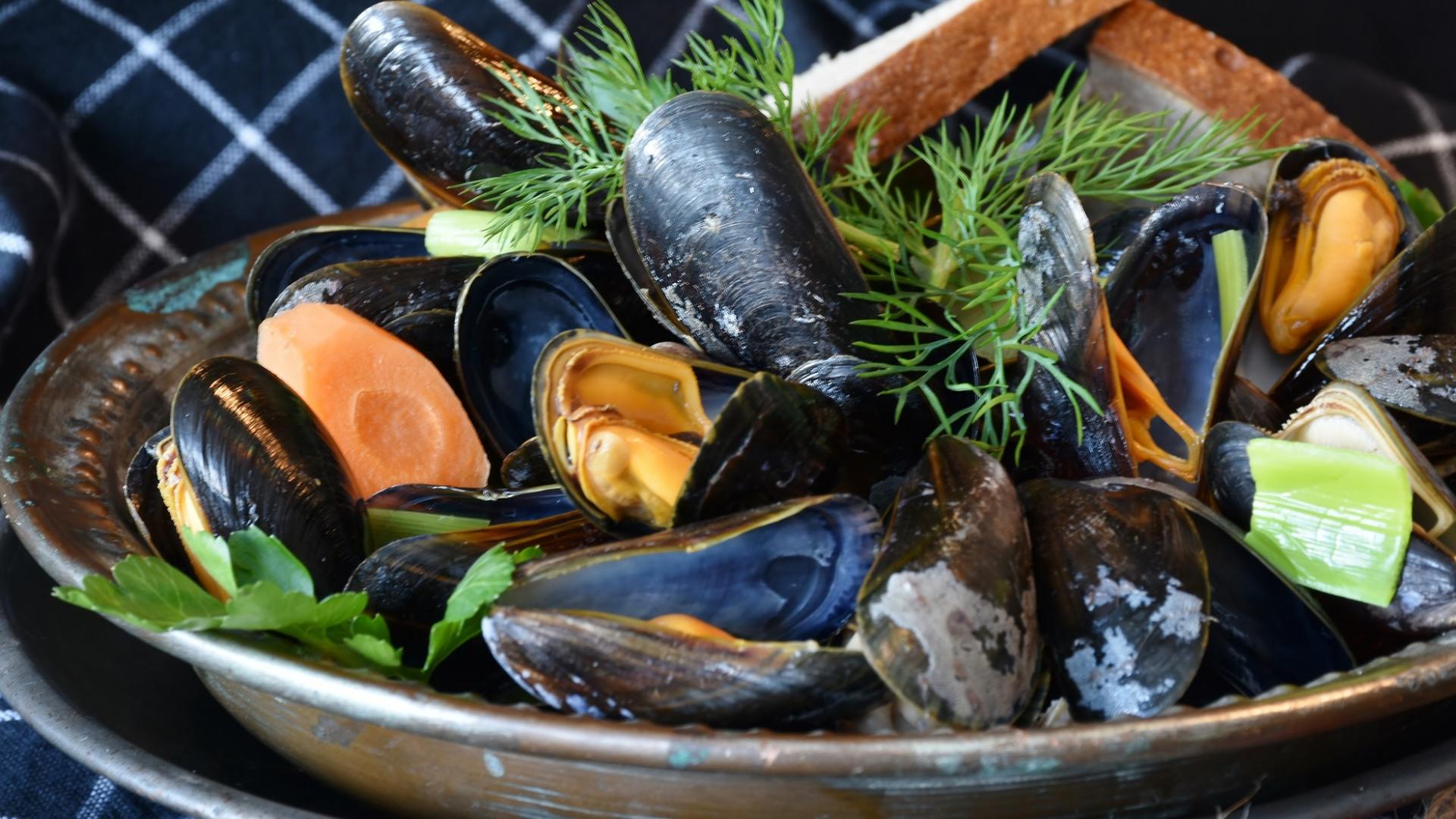„Moules de bouchot“ – Zuchtmuscheln von den Muschelbänken | Tourisme ...