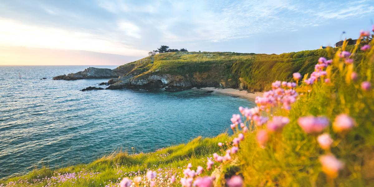 Total immersion in Saint-Brieuc Bay | Brittany tourism