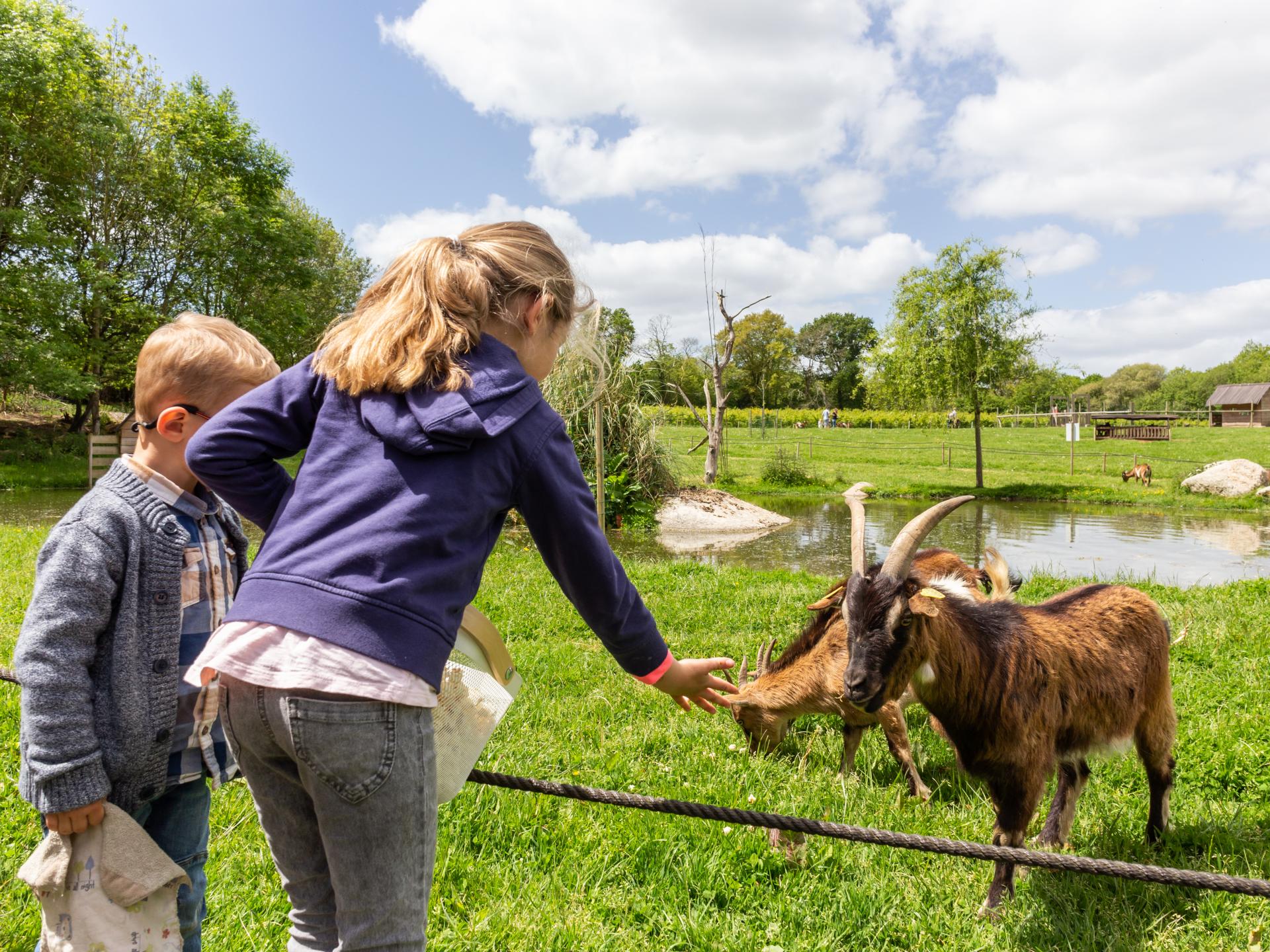 Family farm fun | Brittany tourism