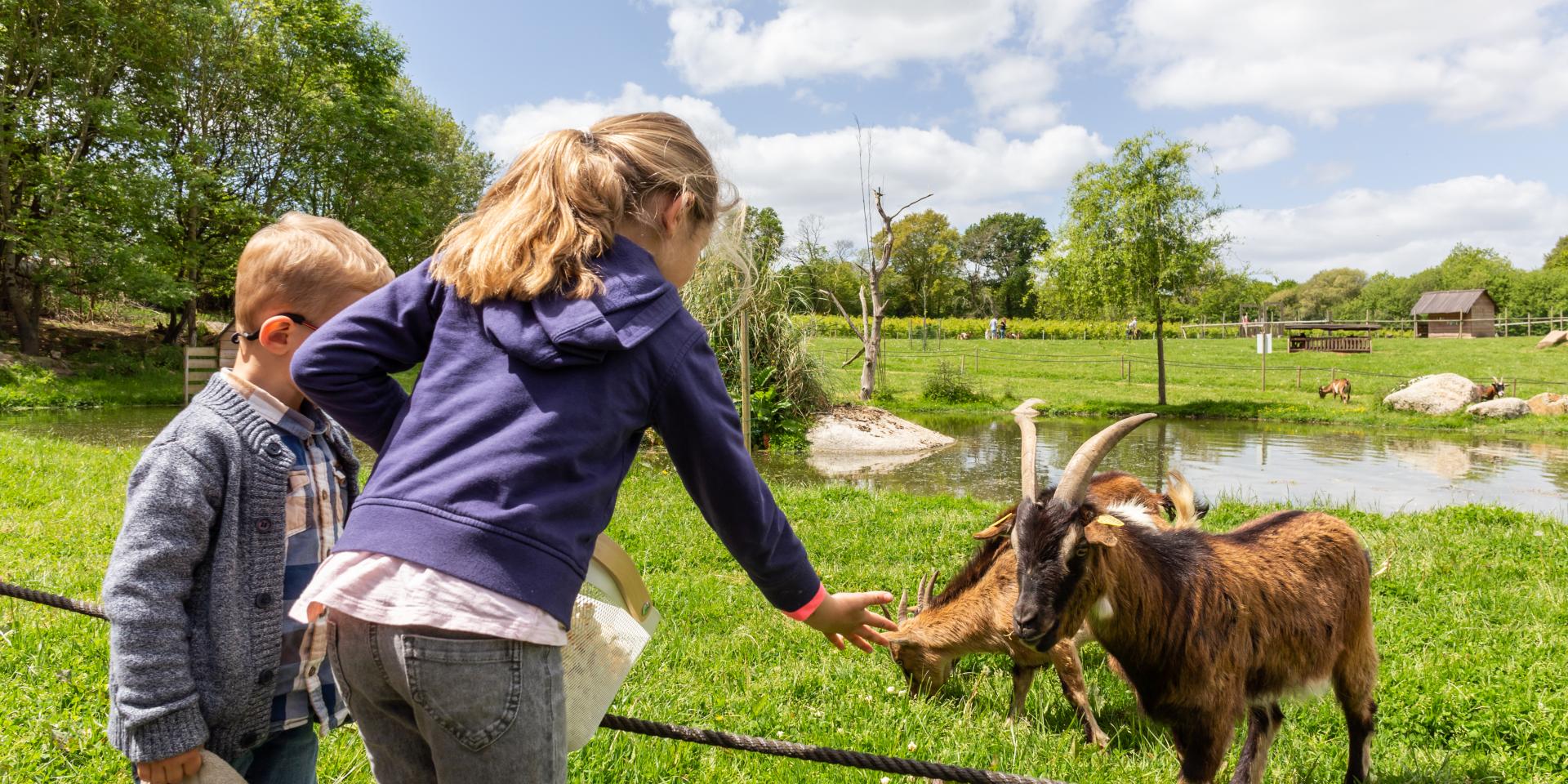Family farm fun | Brittany tourism