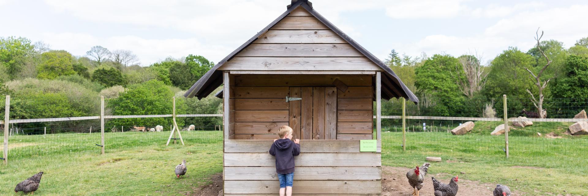 Family farm fun | Brittany tourism