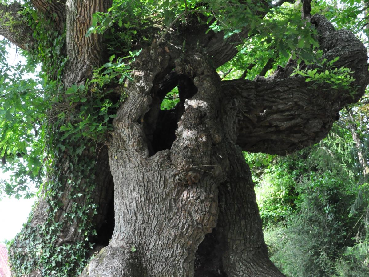 Locmalo | Tourisme Bretagne