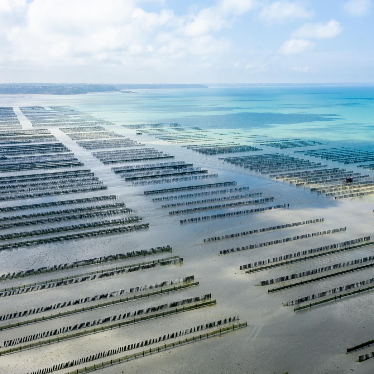 © Mytiliculture a Hillion - Parc a Moules - Vue drone | Emmanuel Berthier