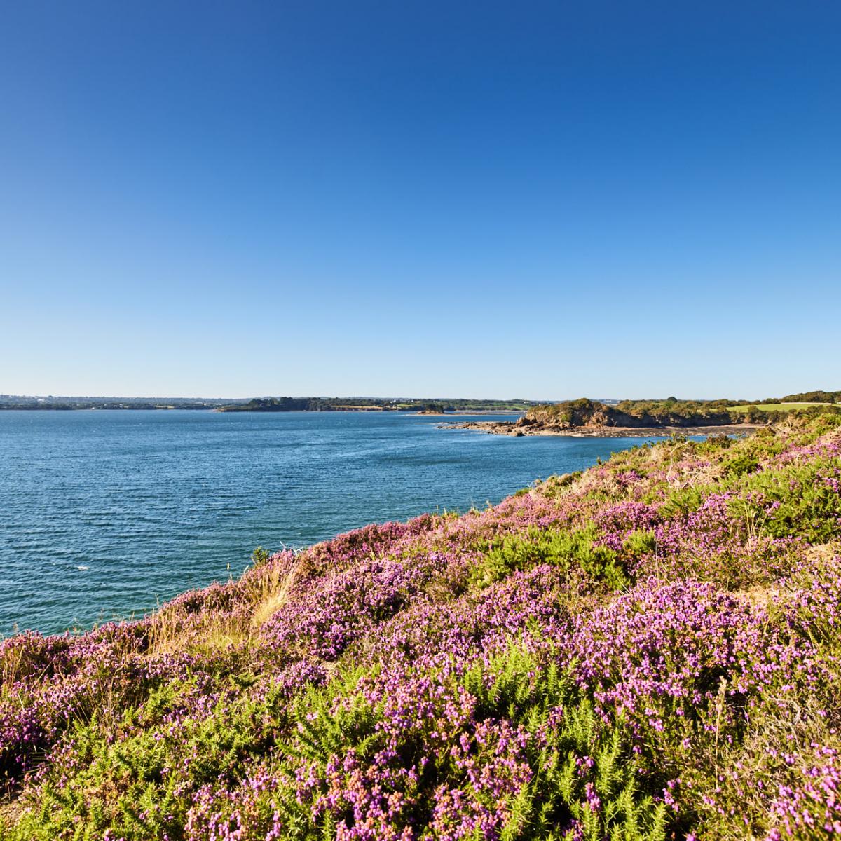 Camaret-sur-Mer und Crozon | Tourisme Bretagne