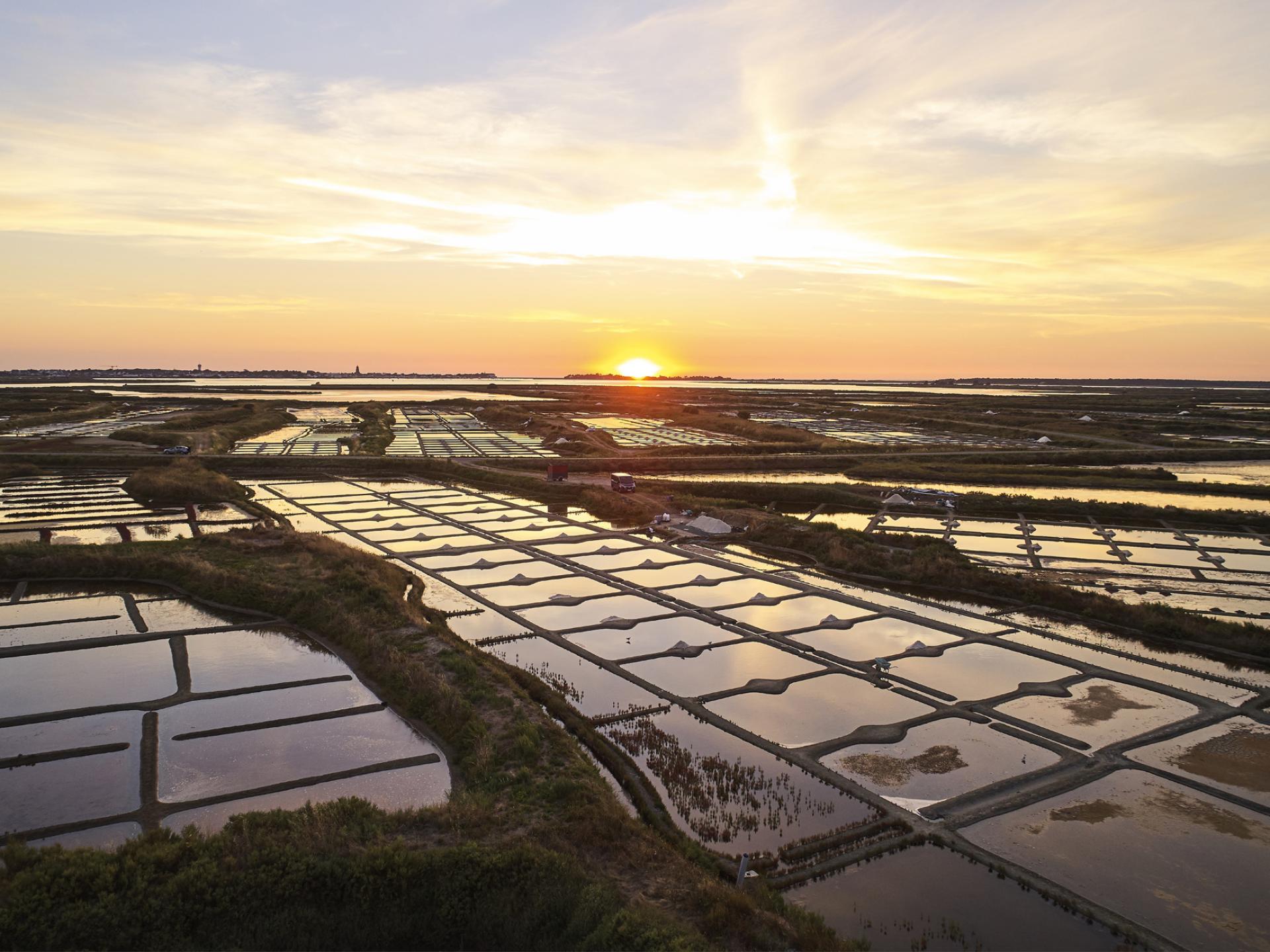 Guérande and its salt marshes | Brittany tourism