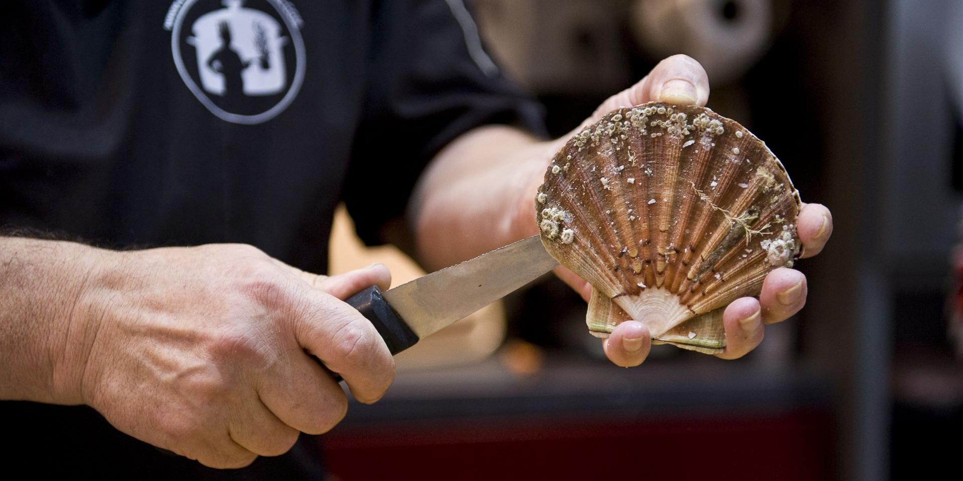 De sint-jakobsschelp | Tourisme Bretagne