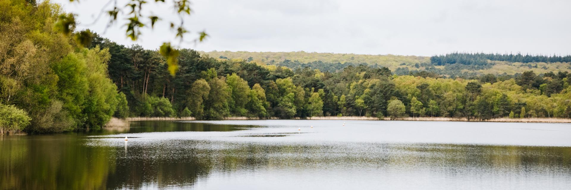 Brocéliande Forest | Brittany tourism