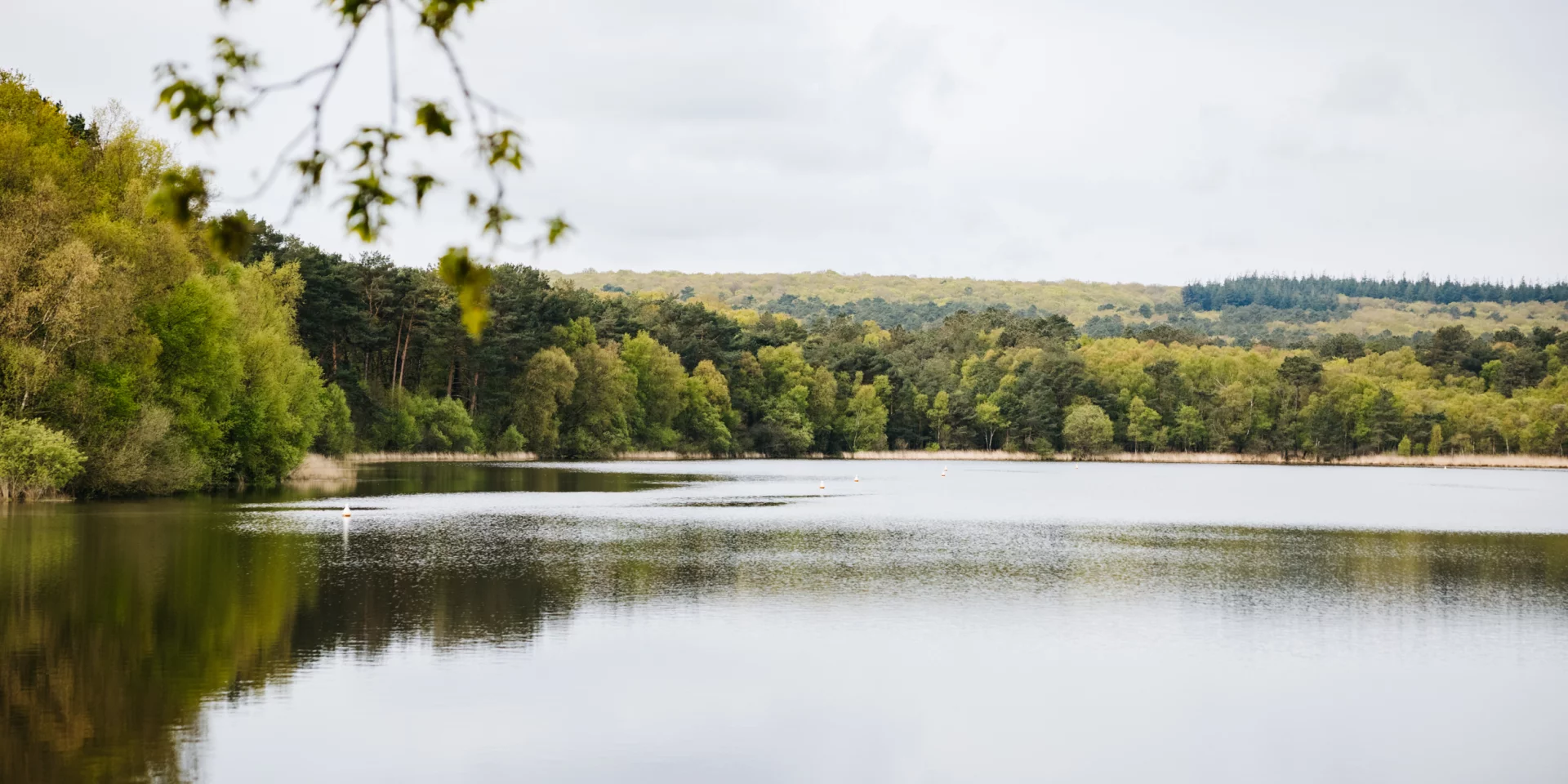 Forêt de Brocéliande | Tourisme Bretagne